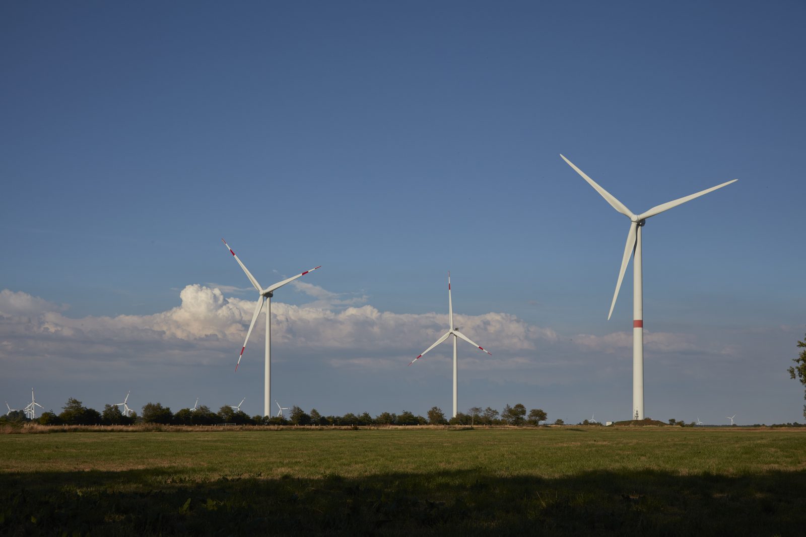 Downloads - Connected Wind Services